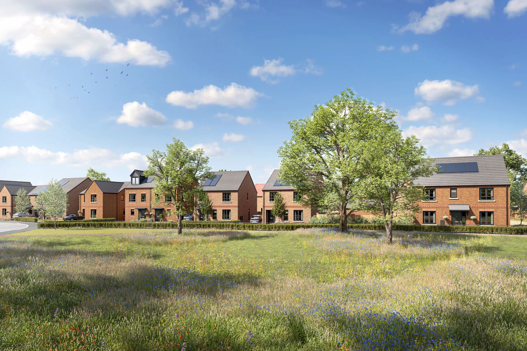 Millstream Meadows ‧ New homes in Middlewich ‧ Taylor Wimpey