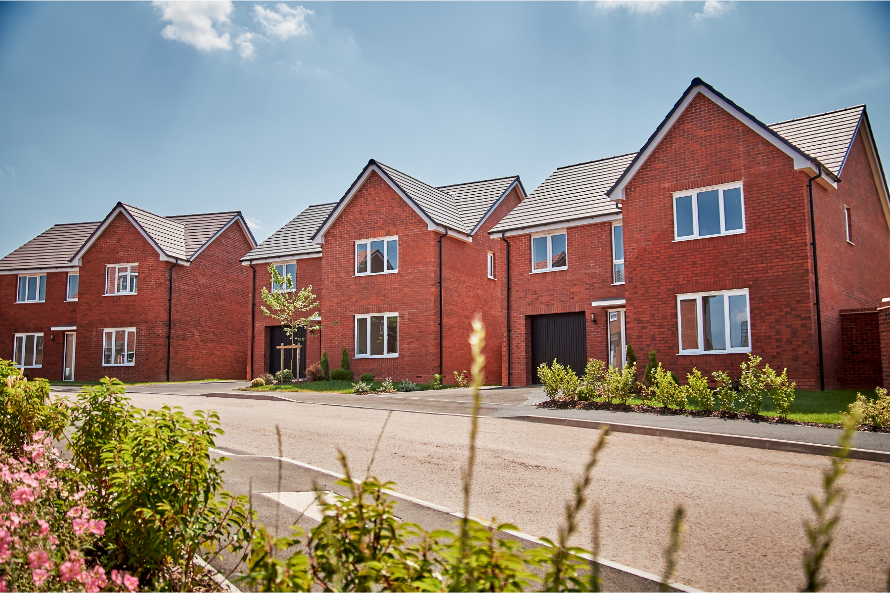 Register for updates about new homes at Hamilton Copse ‧ Taylor Wimpey