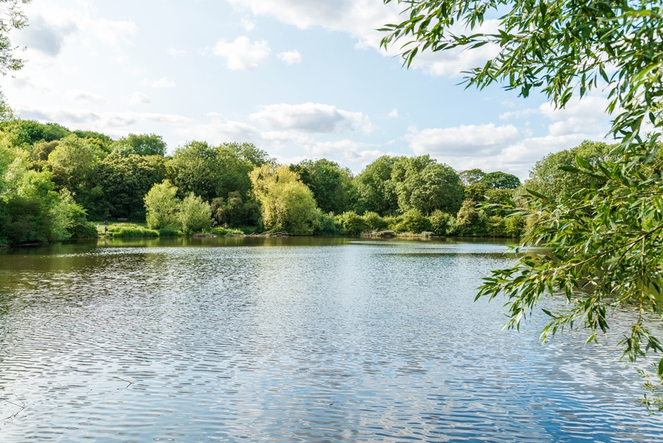 Capstone Oaks ‧ New homes in Chatham ‧ Taylor Wimpey