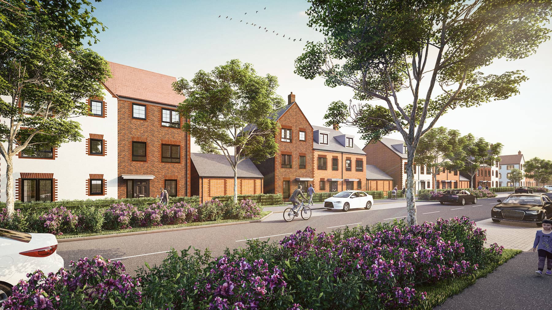 New homes at Hampden Fields ‧ Taylor Wimpey