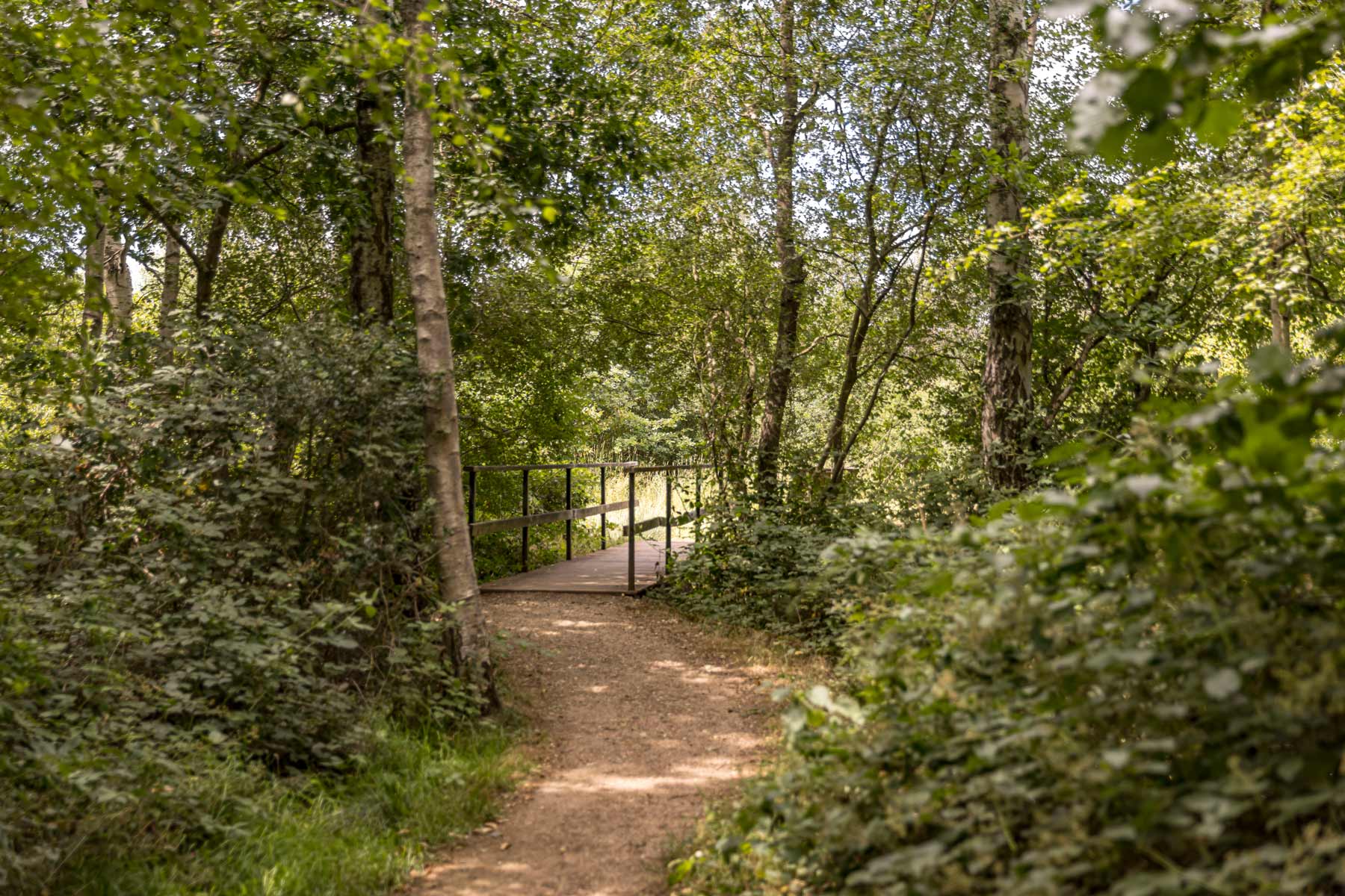 Arborfield Heights ‧ New homes in Arborfield Green ‧ Taylor Wimpey