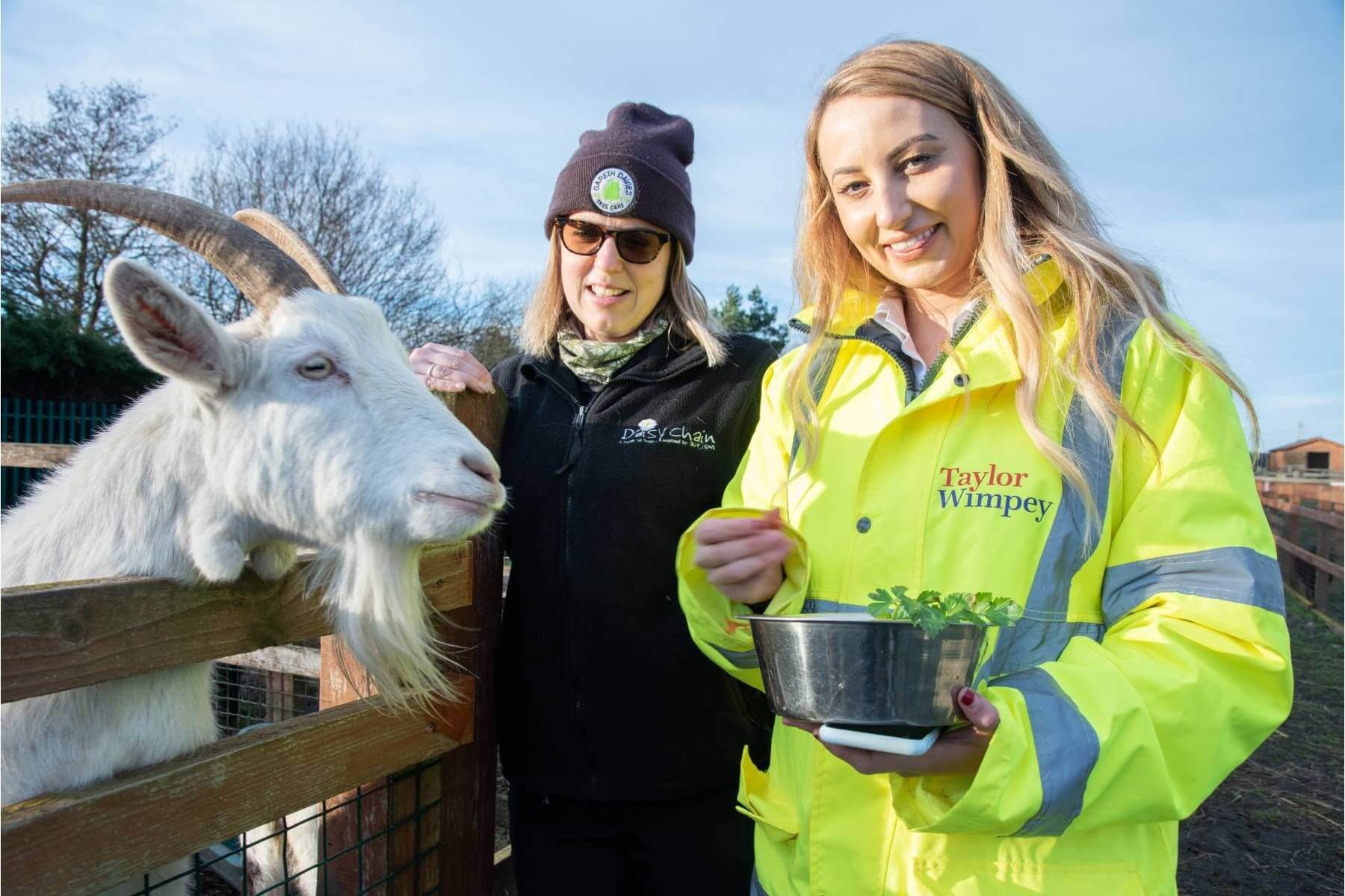 We feed the animals at Daisy Chain Project ‧ Taylor Wimpey