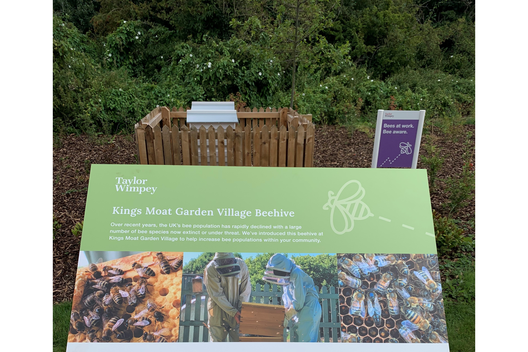 On World Bee Day our North West team marks three years since bees moved ...