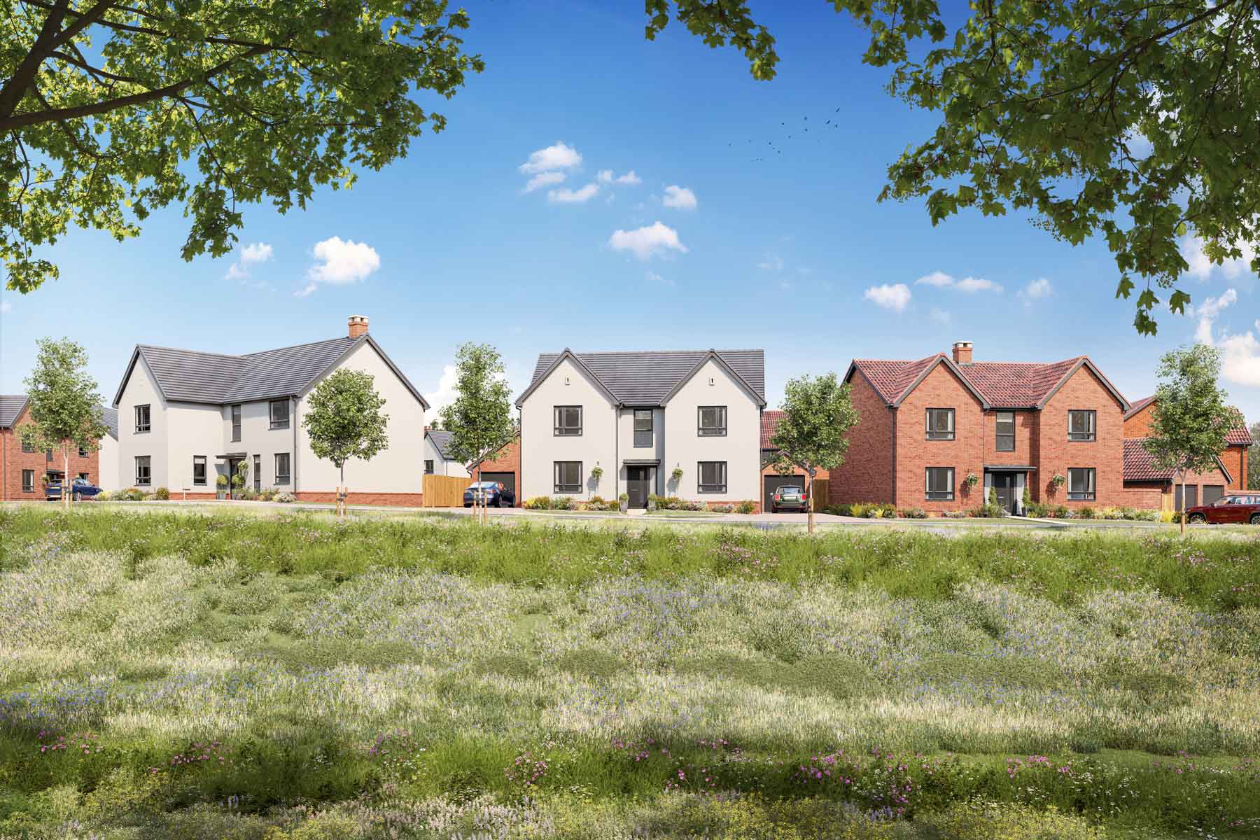 Barham Meadows ‧ New homes in Barham ‧ Taylor Wimpey