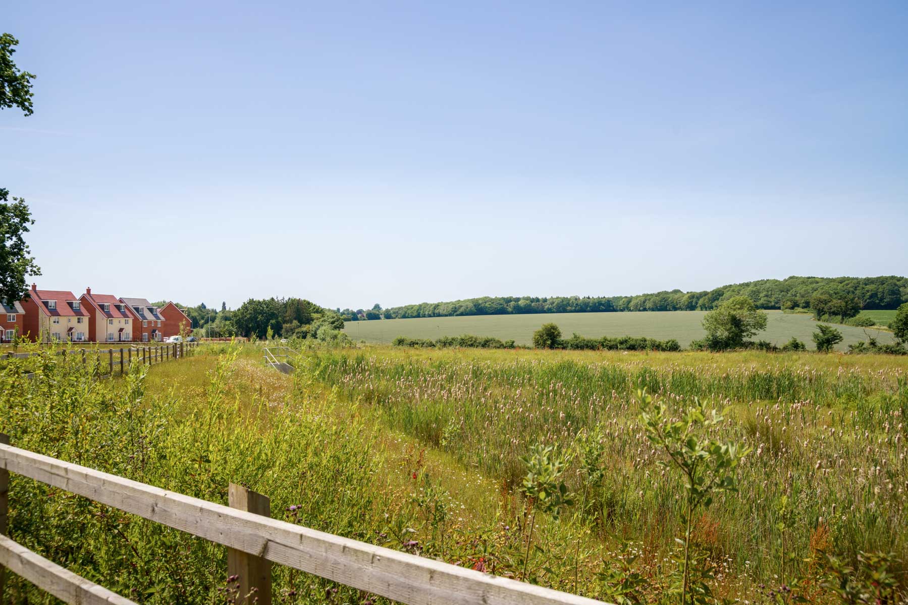 Northfield View ‧ New homes in Stowmarket ‧ Taylor Wimpey
