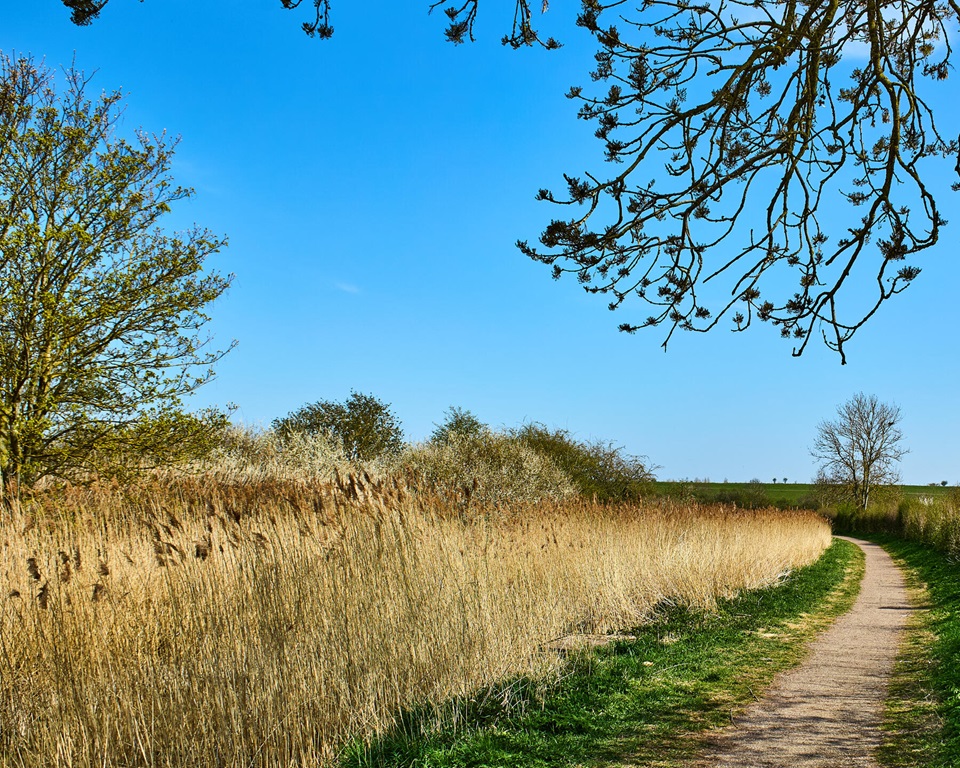 Colston Gardens ‧ New homes in Cotgrave ‧ Taylor Wimpey