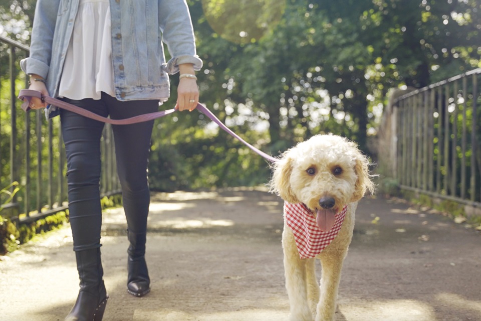 Seton Rise ‧ New homes in Winchburgh ‧ Taylor Wimpey
