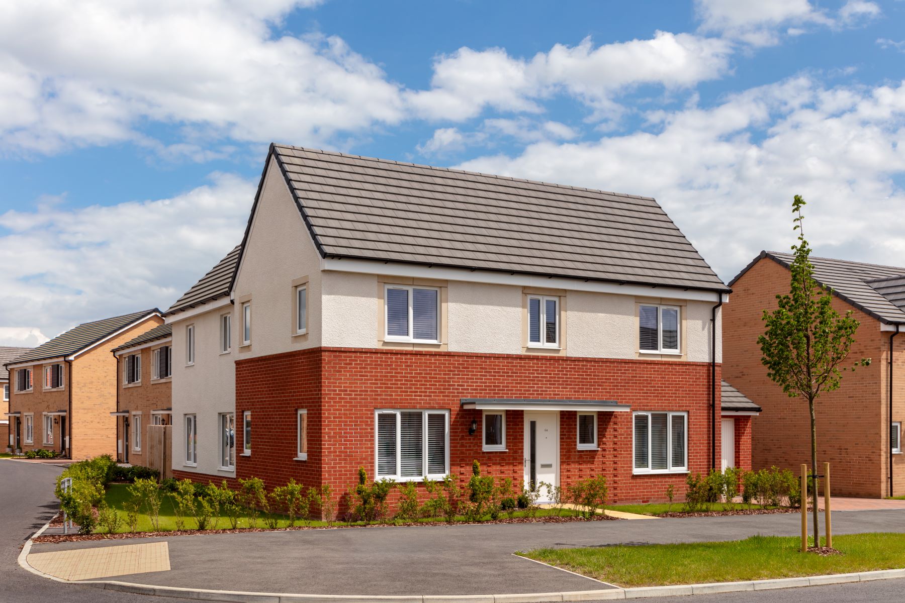 Plot 606 at Handley Gardens in Maldon ‧ Taylor Wimpey