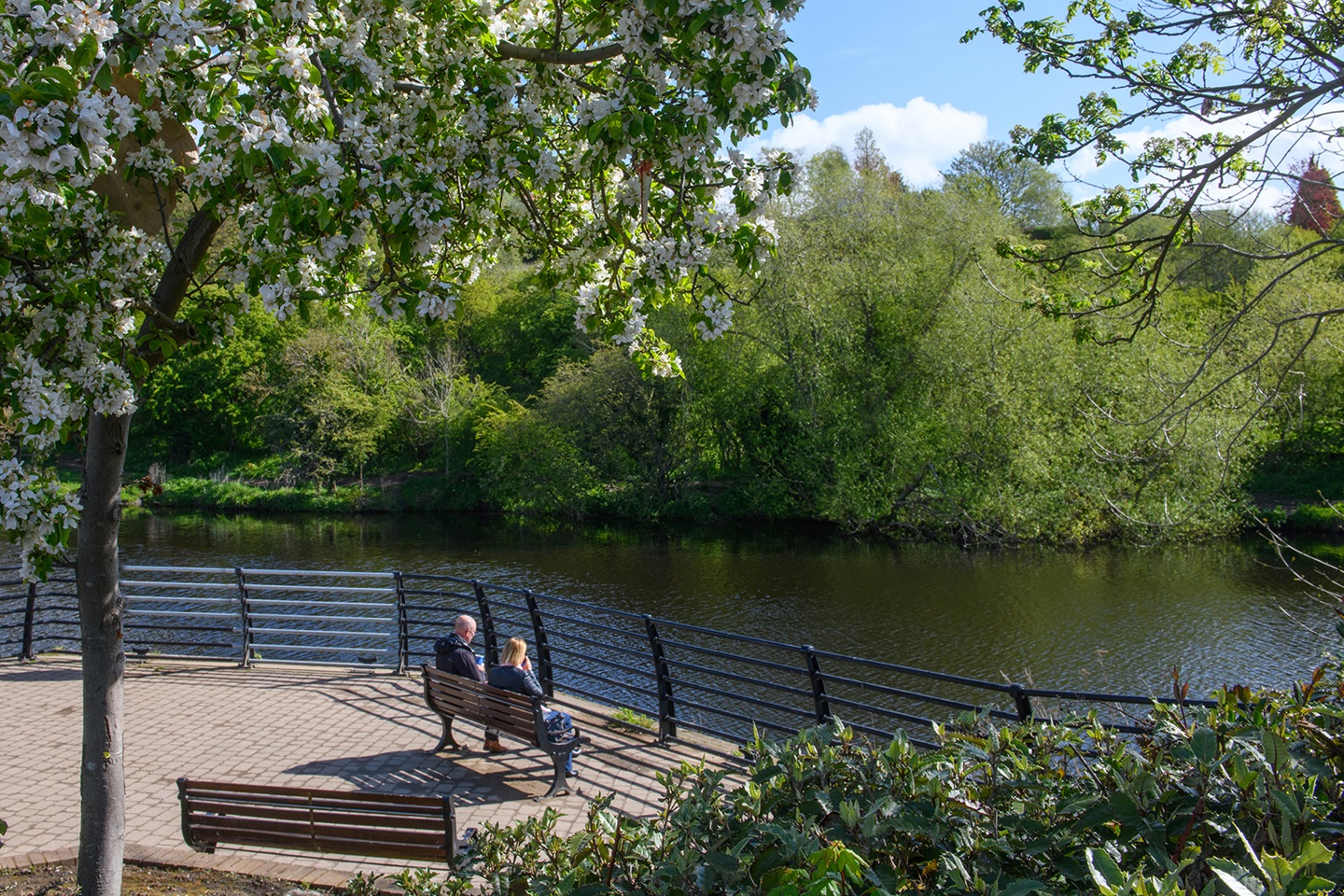 Coatham Meadows ‧ New homes in Eaglescliffe ‧ Taylor Wimpey
