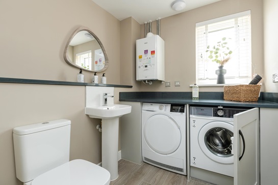 Plot 255 at Swingate Park in Hailsham ‧ Taylor Wimpey