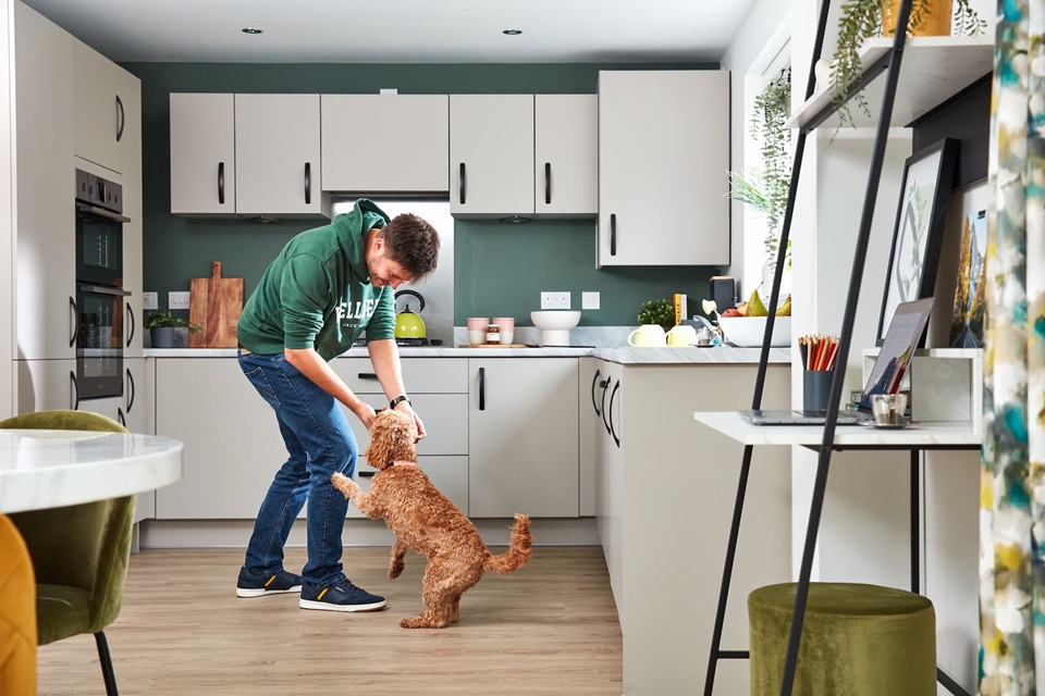 Allard Way ‧ New homes in Coventry ‧ Taylor Wimpey