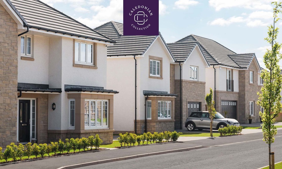 Oakwood View ‧ New homes in Hamilton ‧ Taylor Wimpey