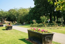 Morwick Springs ‧ New homes in Leeds ‧ Taylor Wimpey