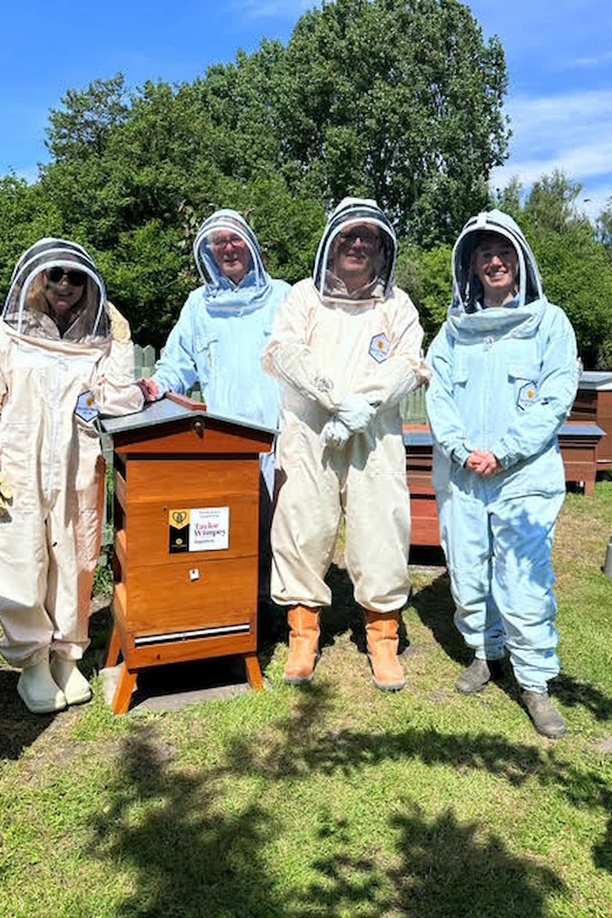 Creating a buzz: how we're helping native bees thrive with Buckley's Bees ‧ Taylor Wimpey