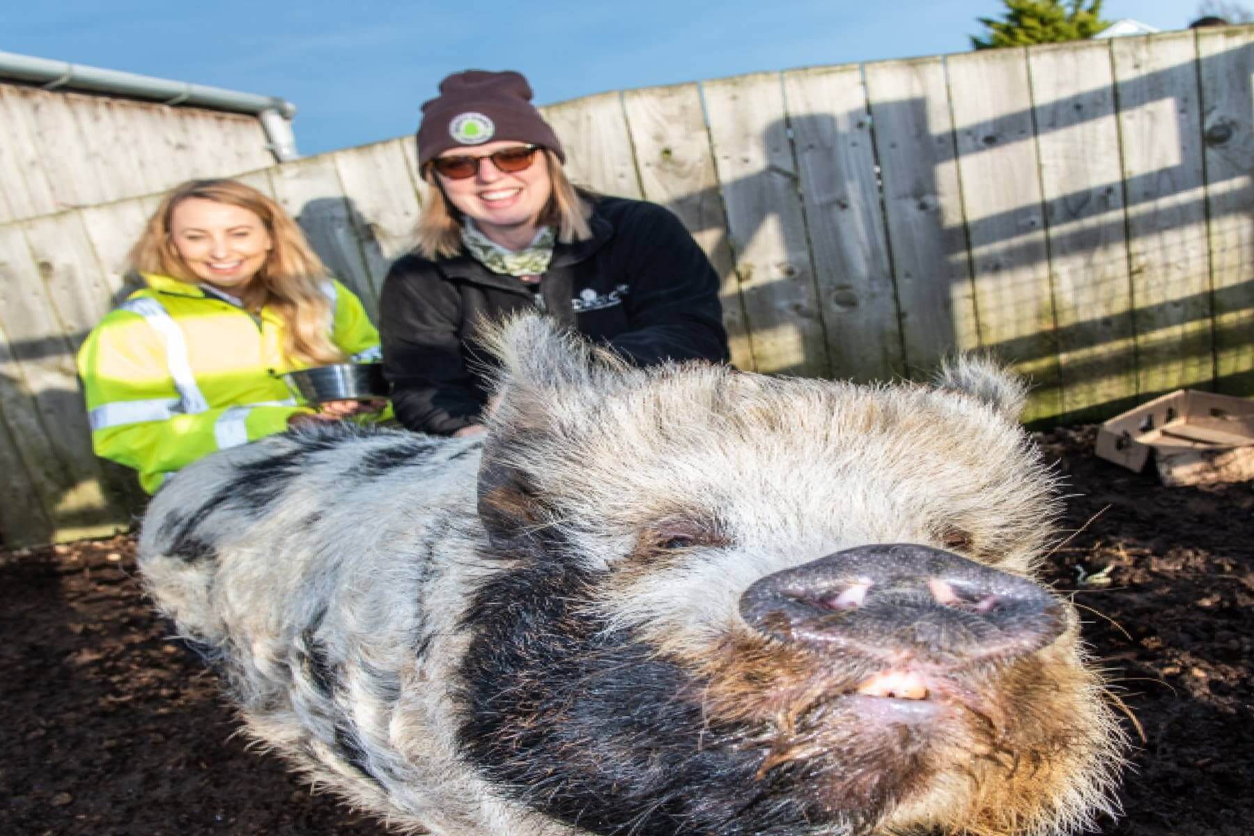 We feed the animals at Daisy Chain Project ‧ Taylor Wimpey