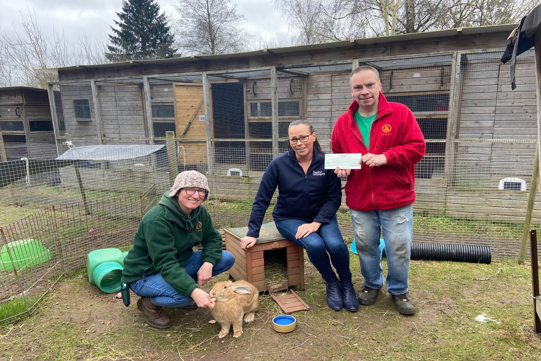 We support Fat Fluffs rabbit rescue in the West Midlands ‧ Taylor Wimpey