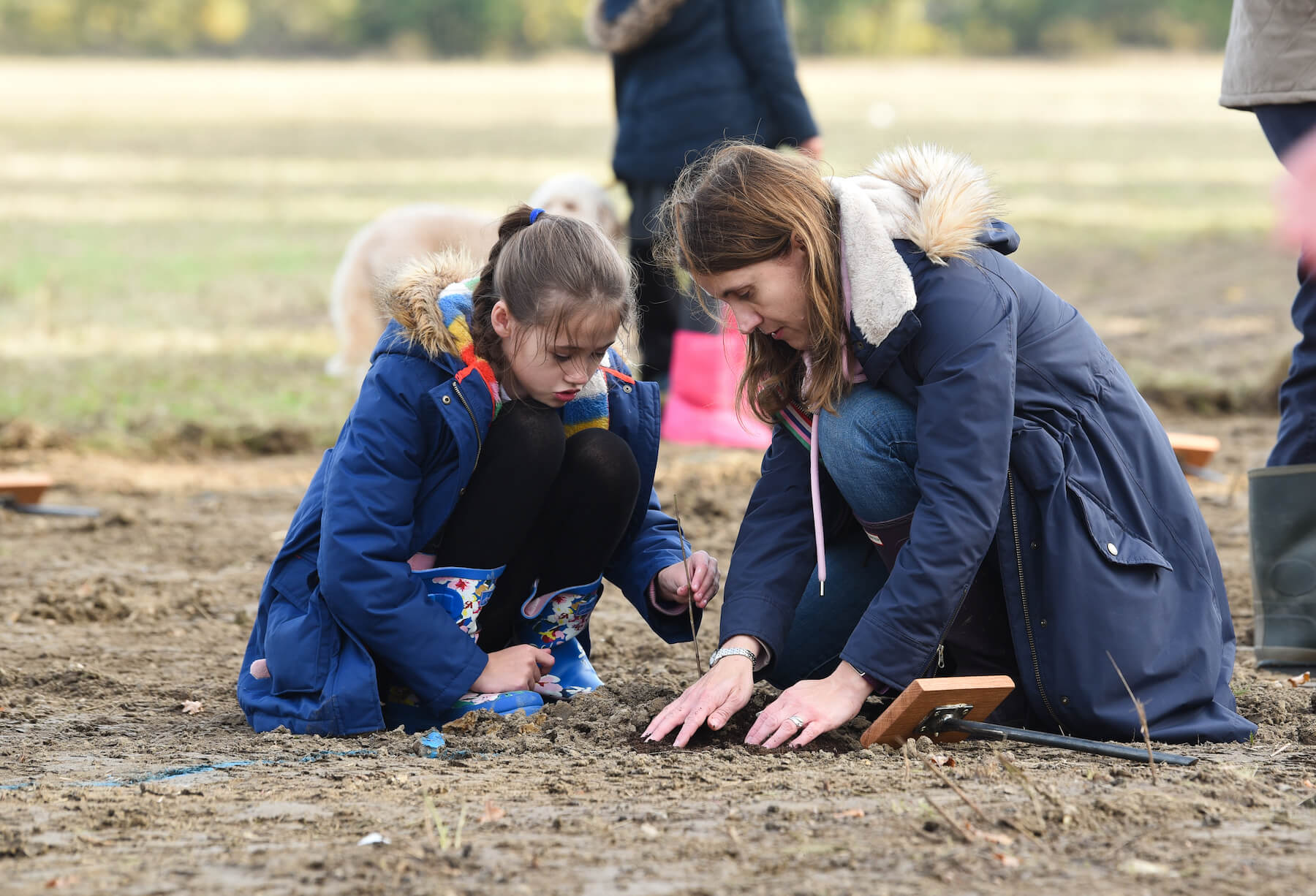 Wivenhoe community unites for Remembrance Day tree planting on our new ...