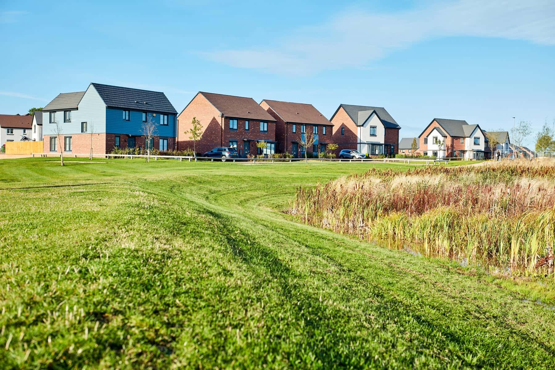 Supporting No Mow May ‧ Taylor Wimpey