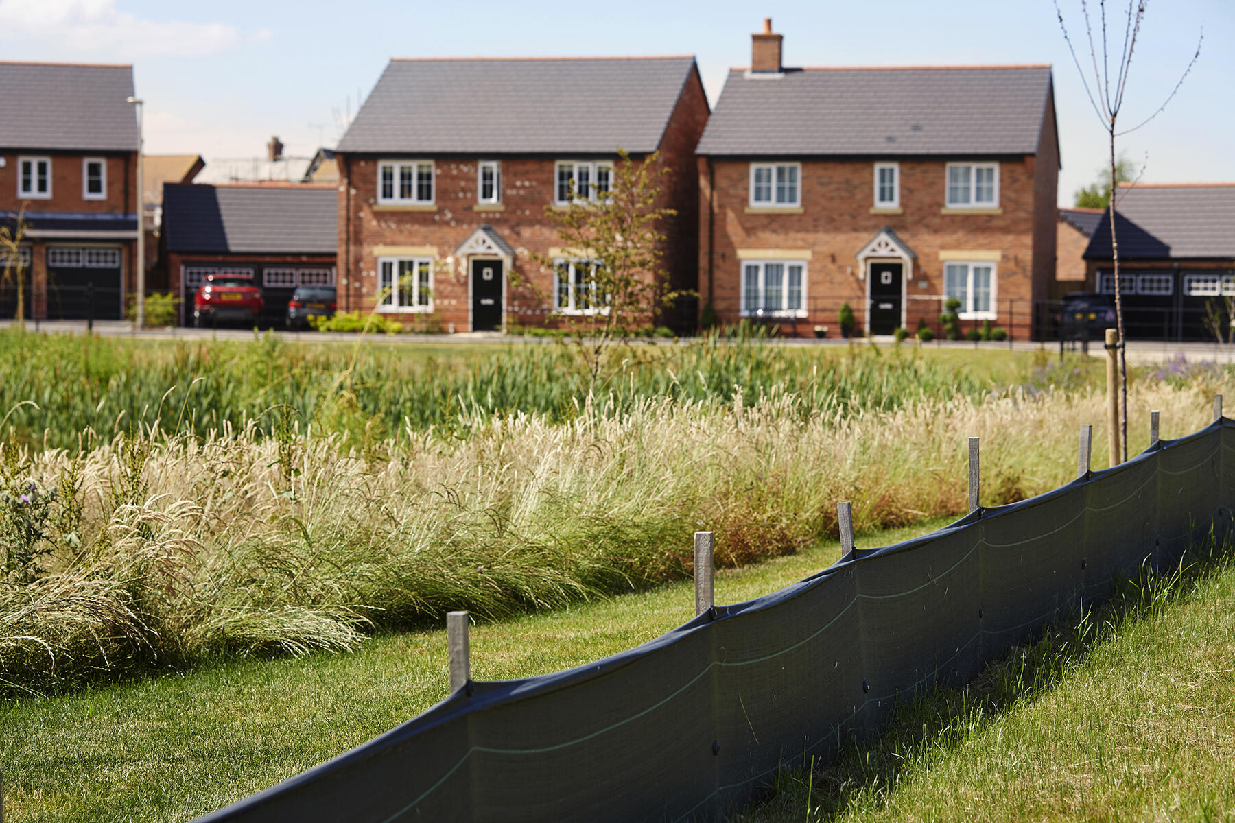 Redevelopment of Land at Capstone Oaks, Chatham ‧ Taylor Wimpey